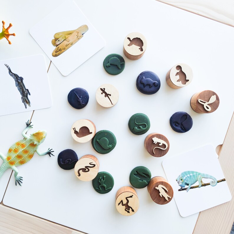 Reptiles & Amphibians Play Dough Stamps Homeschool Learning - Etsy