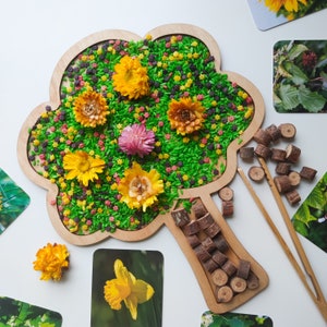 Tree-shaped Sensory Play Tray for Nature Studies. Wooden Board for Kids ...
