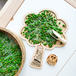 Tree-shaped Sensory Play Tray for Nature Studies. Wooden Board for Kids ...