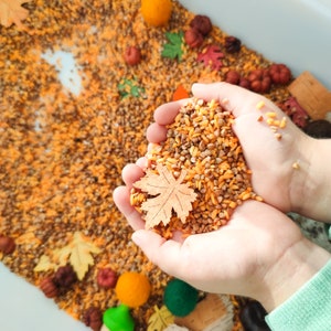 Fall-themed Sensory Bin Filler. Multi-grain Sensory Kit With Wooden ...