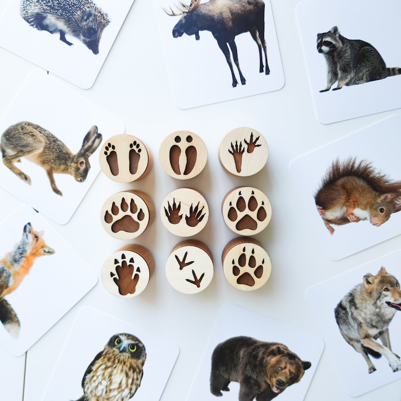 Double-sided Forest Animal Tracks Play Dough Stamps. - Etsy