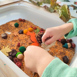 Fall-themed Sensory Bin Filler. Multi-grain Sensory Kit With Wooden ...