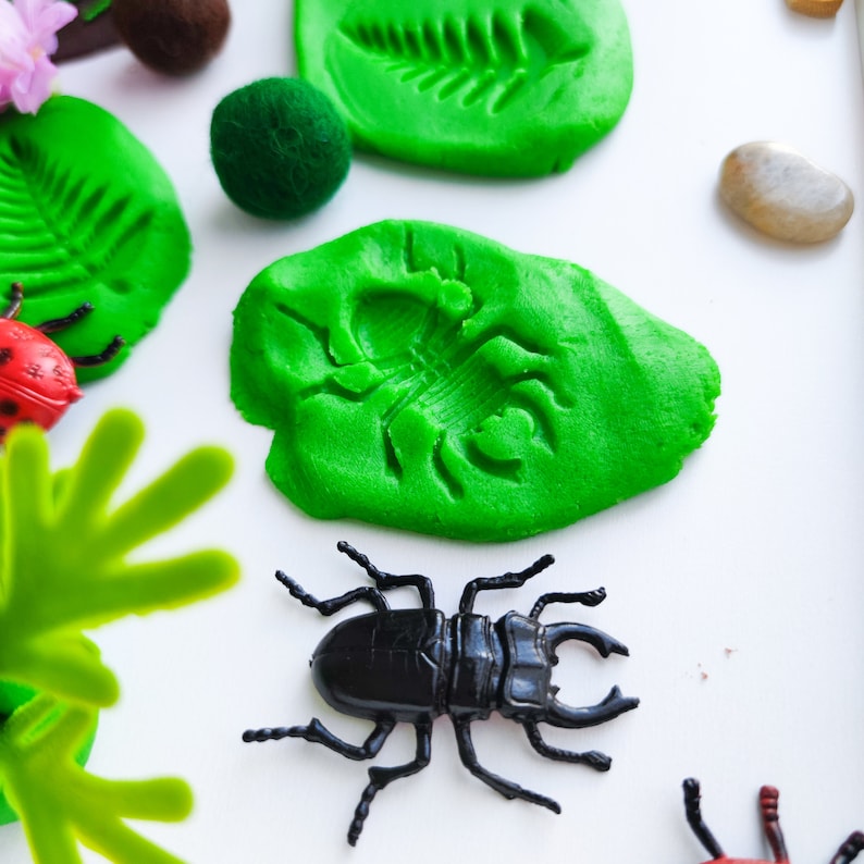 Garden Bugs Play Dough Kit Insect Sensory Bin Bugs Sensory - Etsy