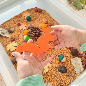 Fall-themed Sensory Bin Filler. Multi-grain Sensory Kit With Wooden ...