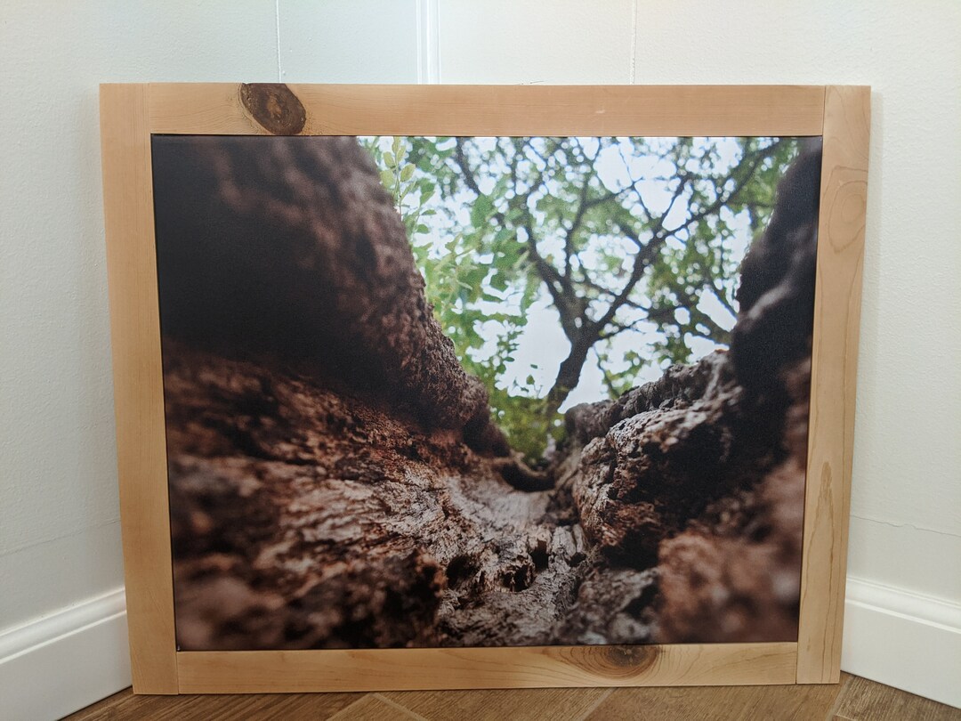 Tree Trunk Canvas With Natural Pine Frame - Etsy