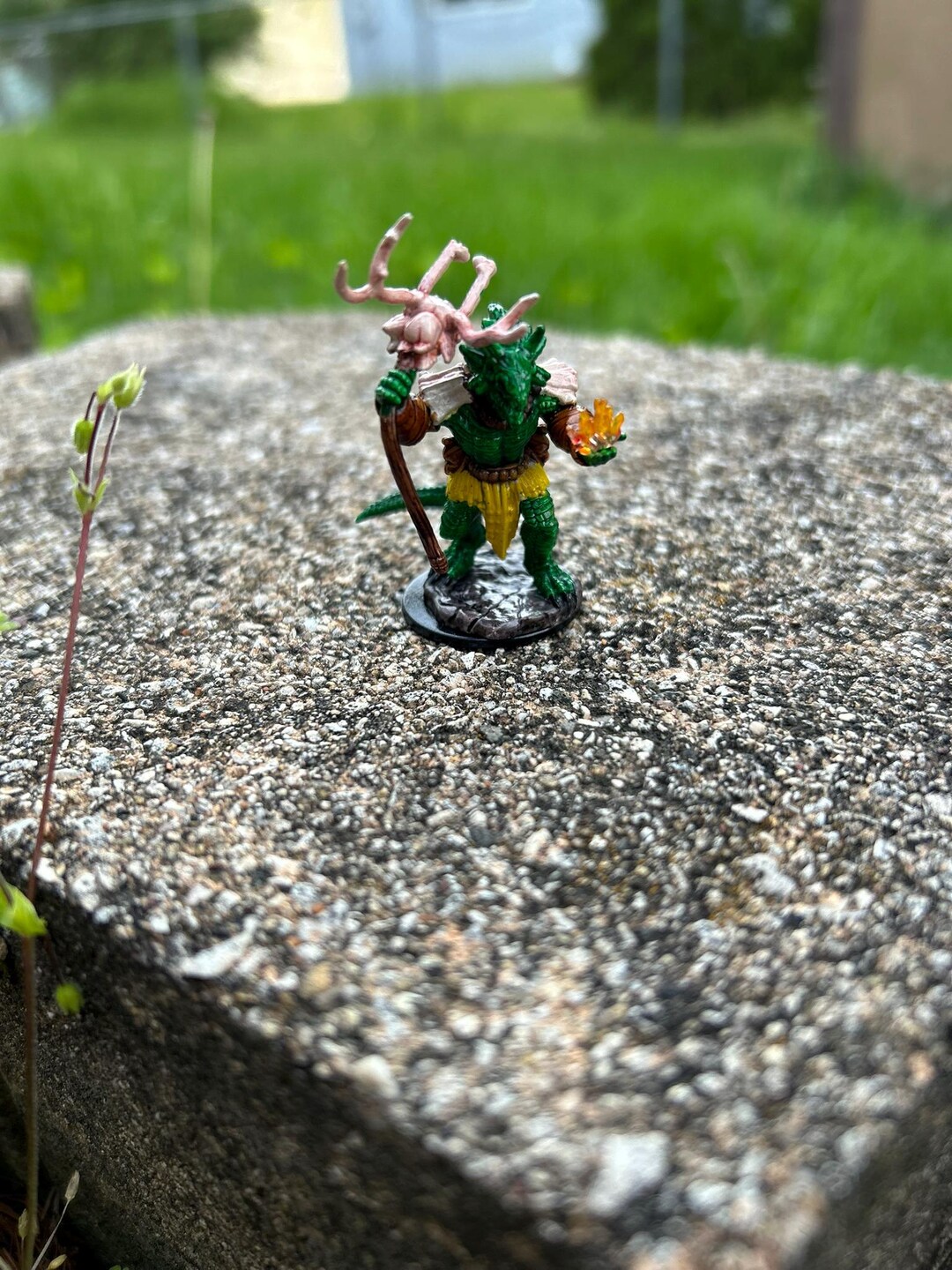Lizardfolk Druid | Dungeons and Dragons | Miniature | 25 Mm Scale ...