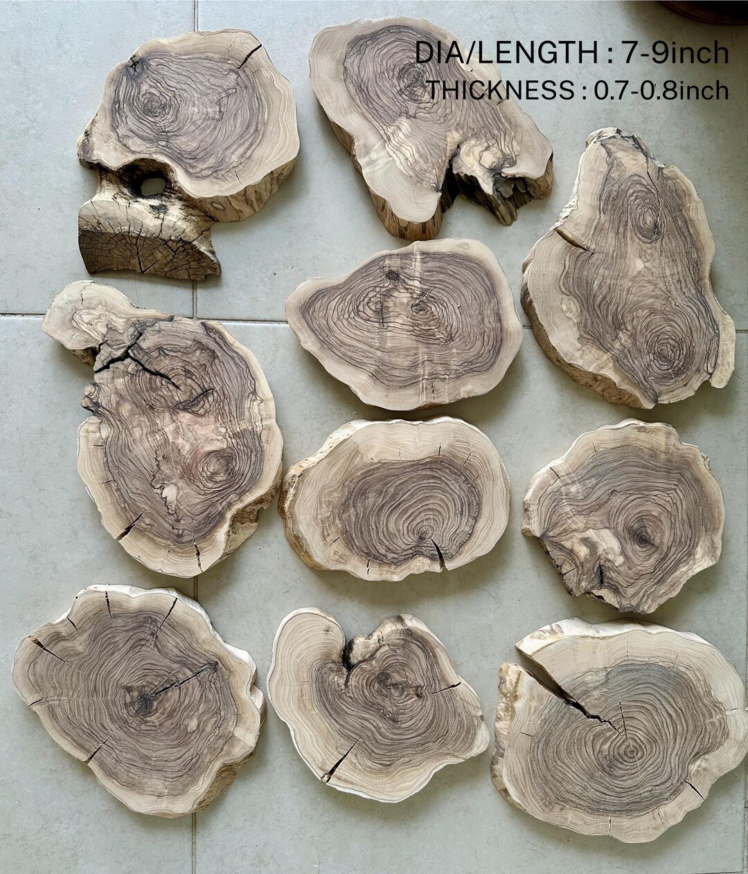 Natural Olive Wood Slices, Rustic Tree Slab for DIY Epoxy Resin Art - Etsy