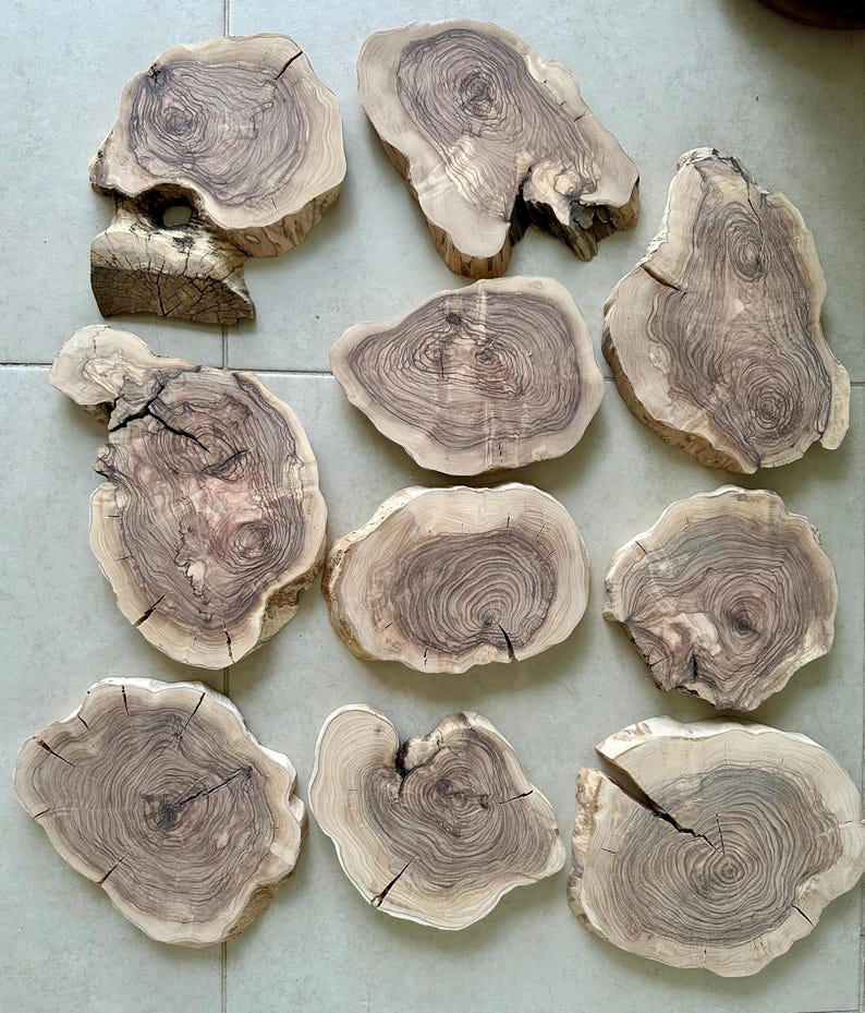 Olive Wood Slabs, Natural Olive Wood, Olive Wood Pieces, Olive Wood for ...