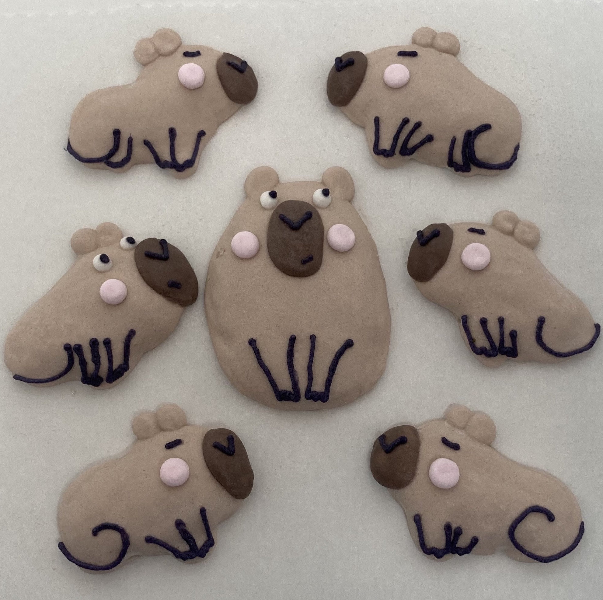 Capybara Royal Icing Cupcake Toppers, Edible Capybara Cake Decorations ...