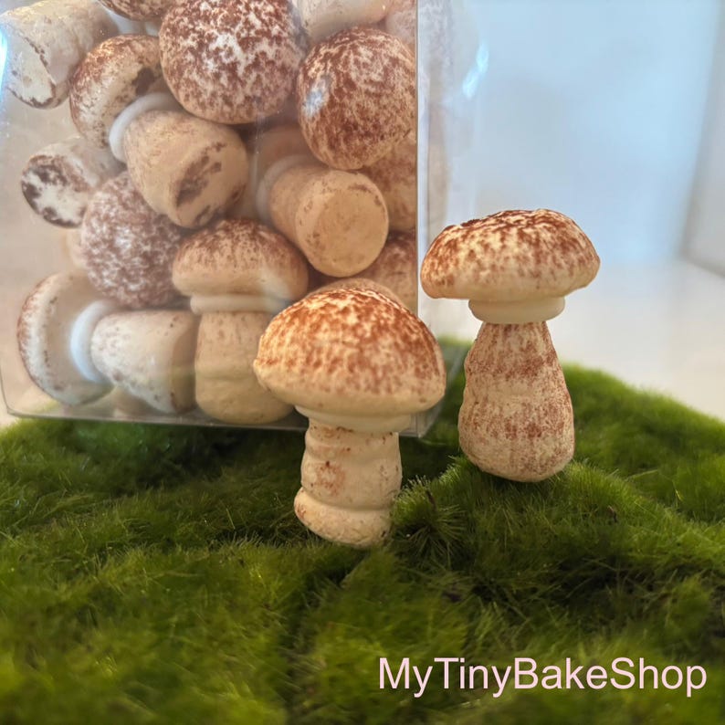 Meringue Mushroom Cookies: Woodland Cake Decorations - Etsy