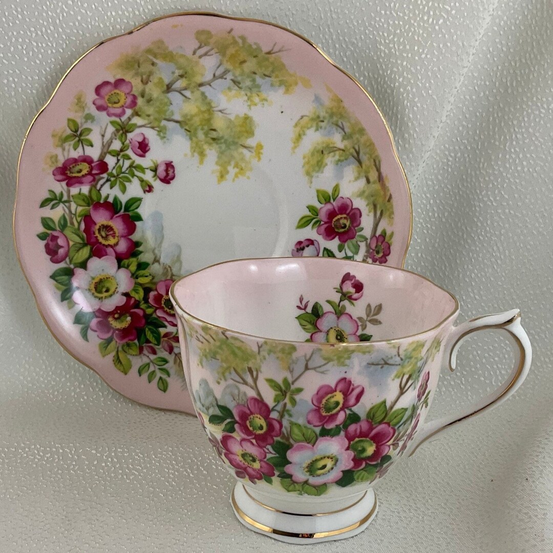 Royal Albert Pink Wild Rose Teacup and Saucer Duo - Etsy