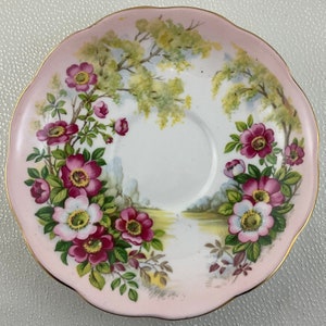 Royal Albert Pink Wild Rose Teacup and Saucer Duo - Etsy