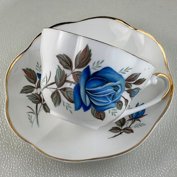 Warwick Porcelain - Etsy