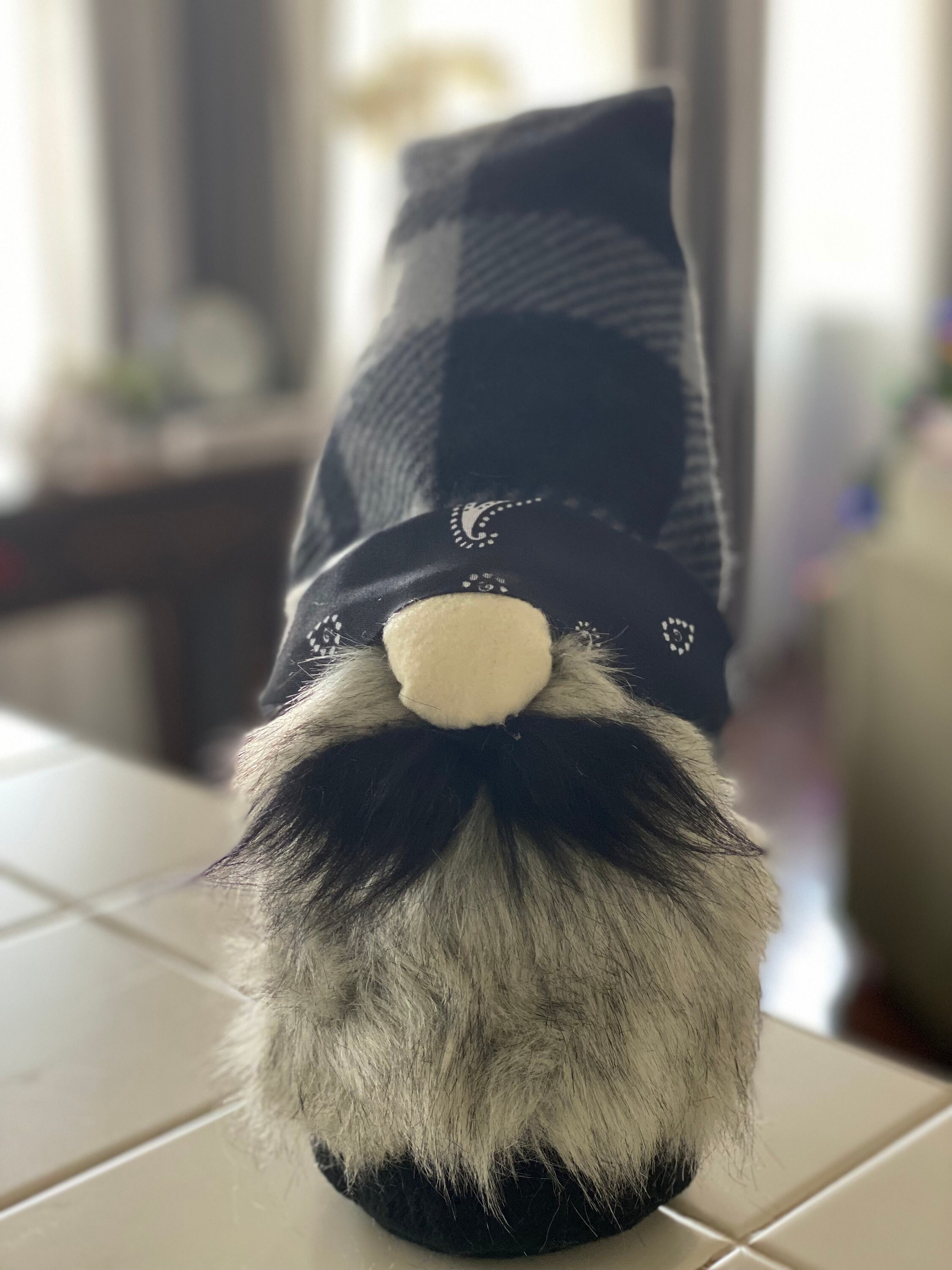 Cholo Gnomies - Etsy