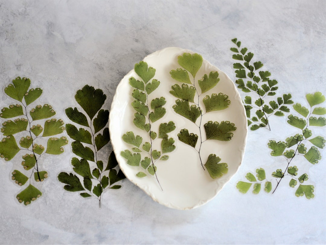 Green Stem Stickers, Clear Leaf Sticker, Greenery, Large Size 8", Clear ...