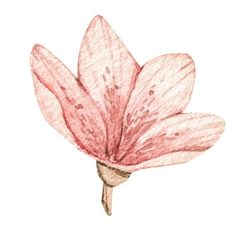 willowlilyarts - Etsy