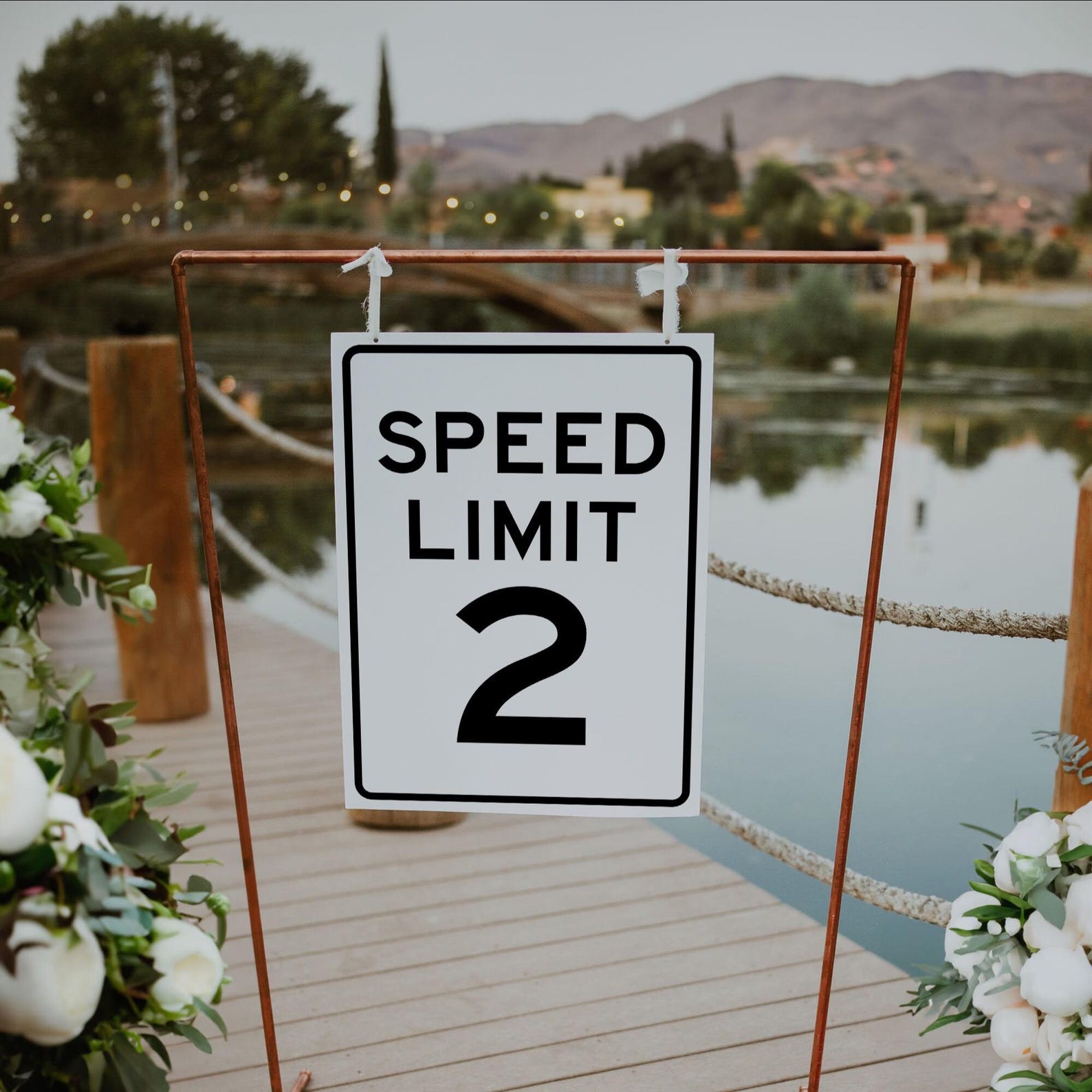 Race Car Party Decor Personalized Centerpiece, Speed Limit 2 Sign ...
