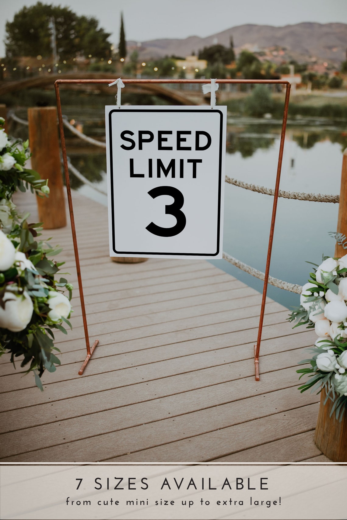 Speed Limit 3 Sign Printable, Cant Catch Me Im Three, Race Car Birthday ...