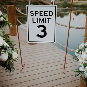 Speed Limit 3 Sign Printable, Can’t Catch Me I’m Three, Race Car ...