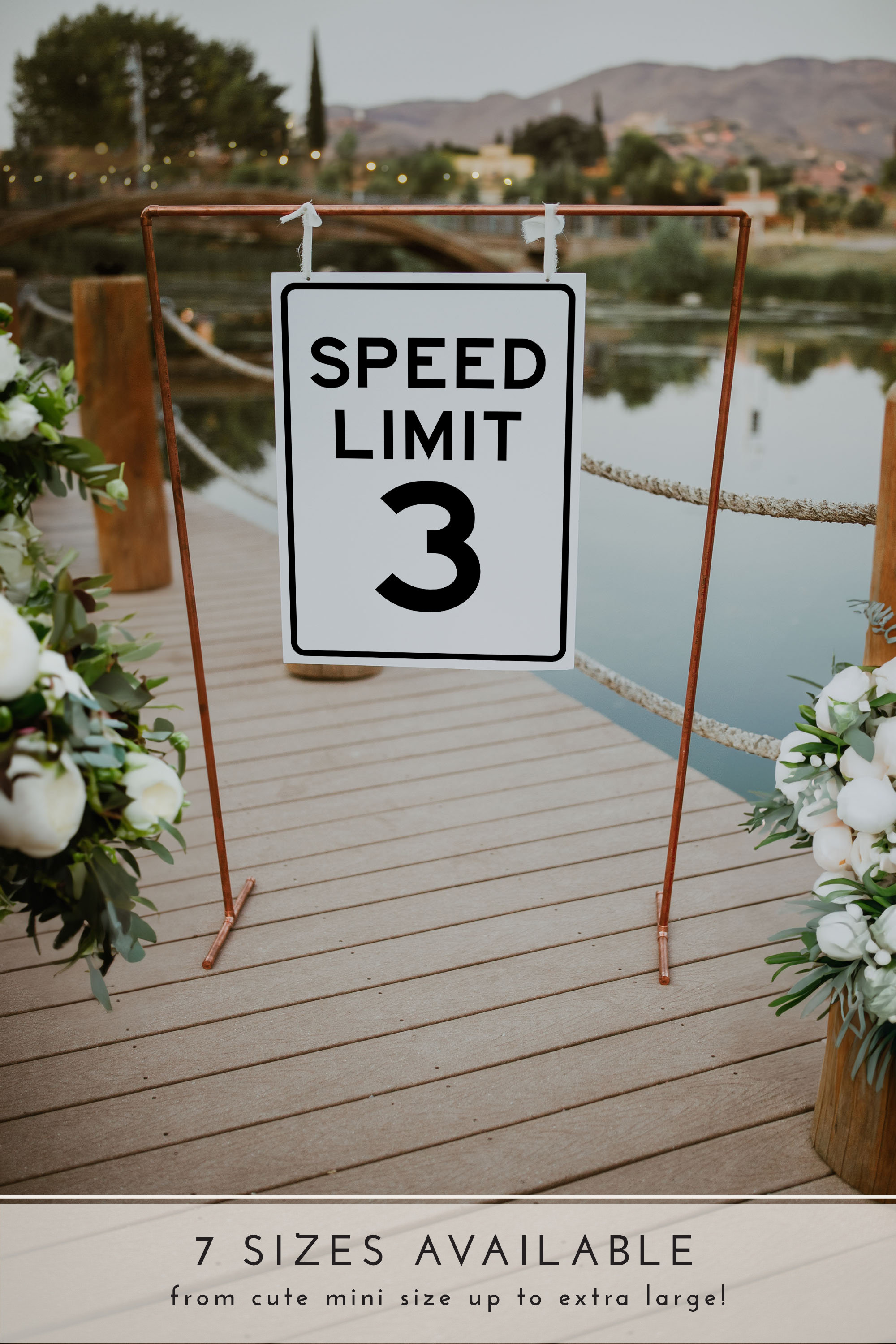 Speed Limit 3 Sign Printable, Cant Catch Me Im Three, Race Car Birthday ...