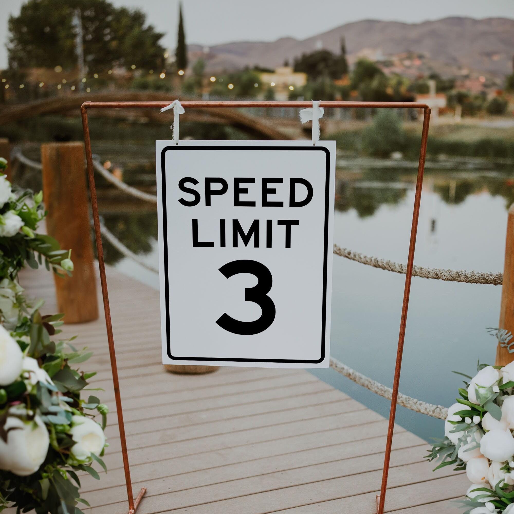Speed Limit 3 Sign Printable: Race Car Birthday Party Decor (instant ...