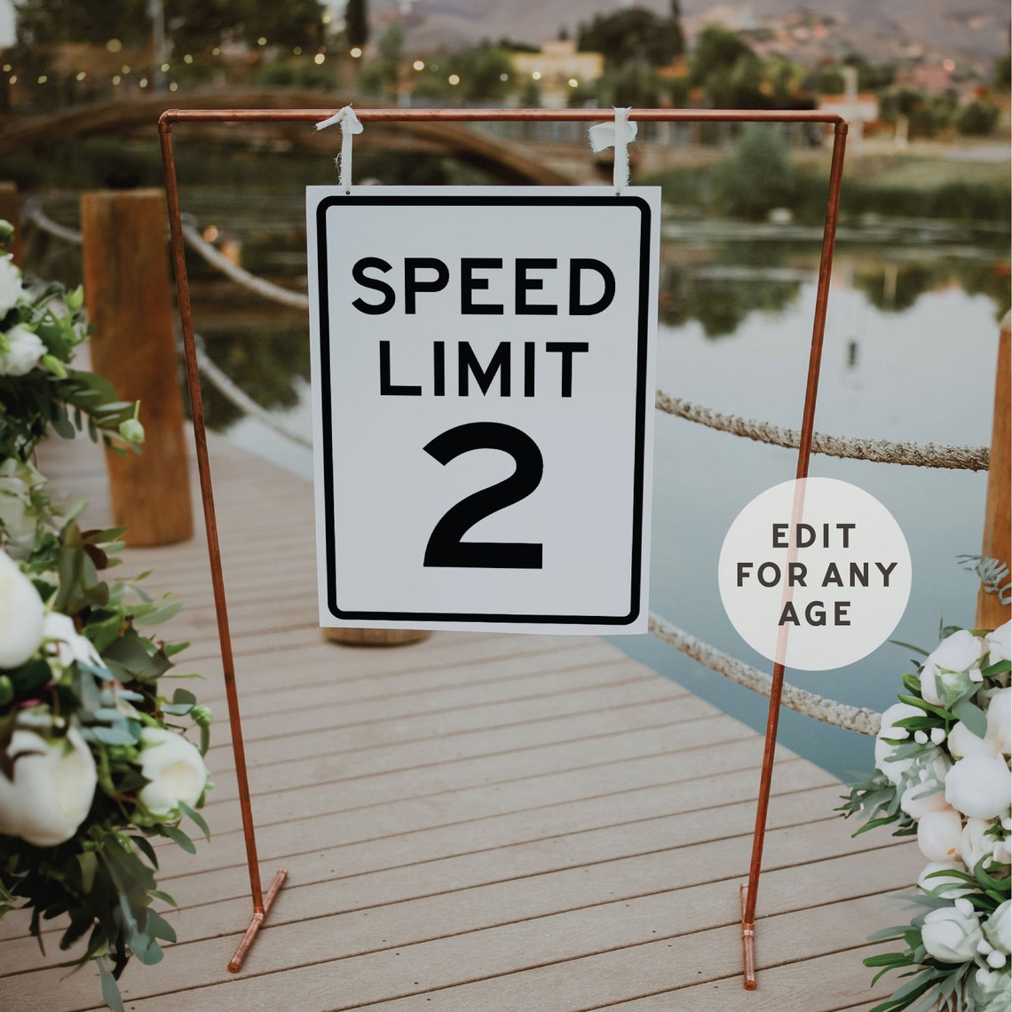 Race Car Party Signs, Editable Speed Limit Sign, Printable Vintage ...