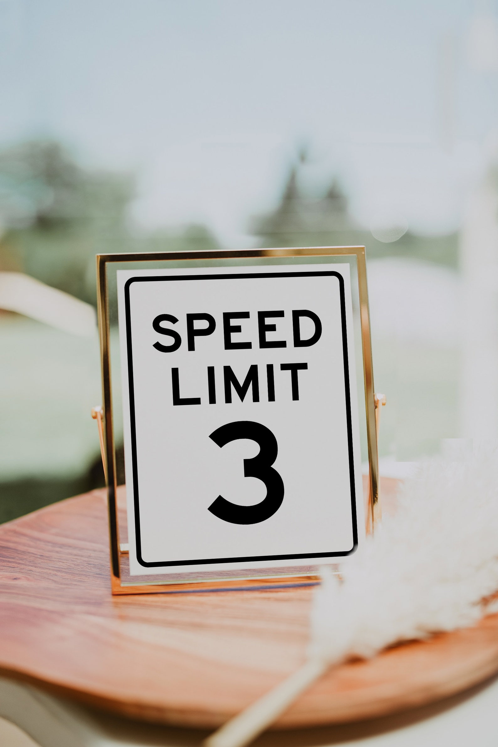 Speed Limit 3 Sign Printable, Cant Catch Me Im Three, Race Car Birthday ...
