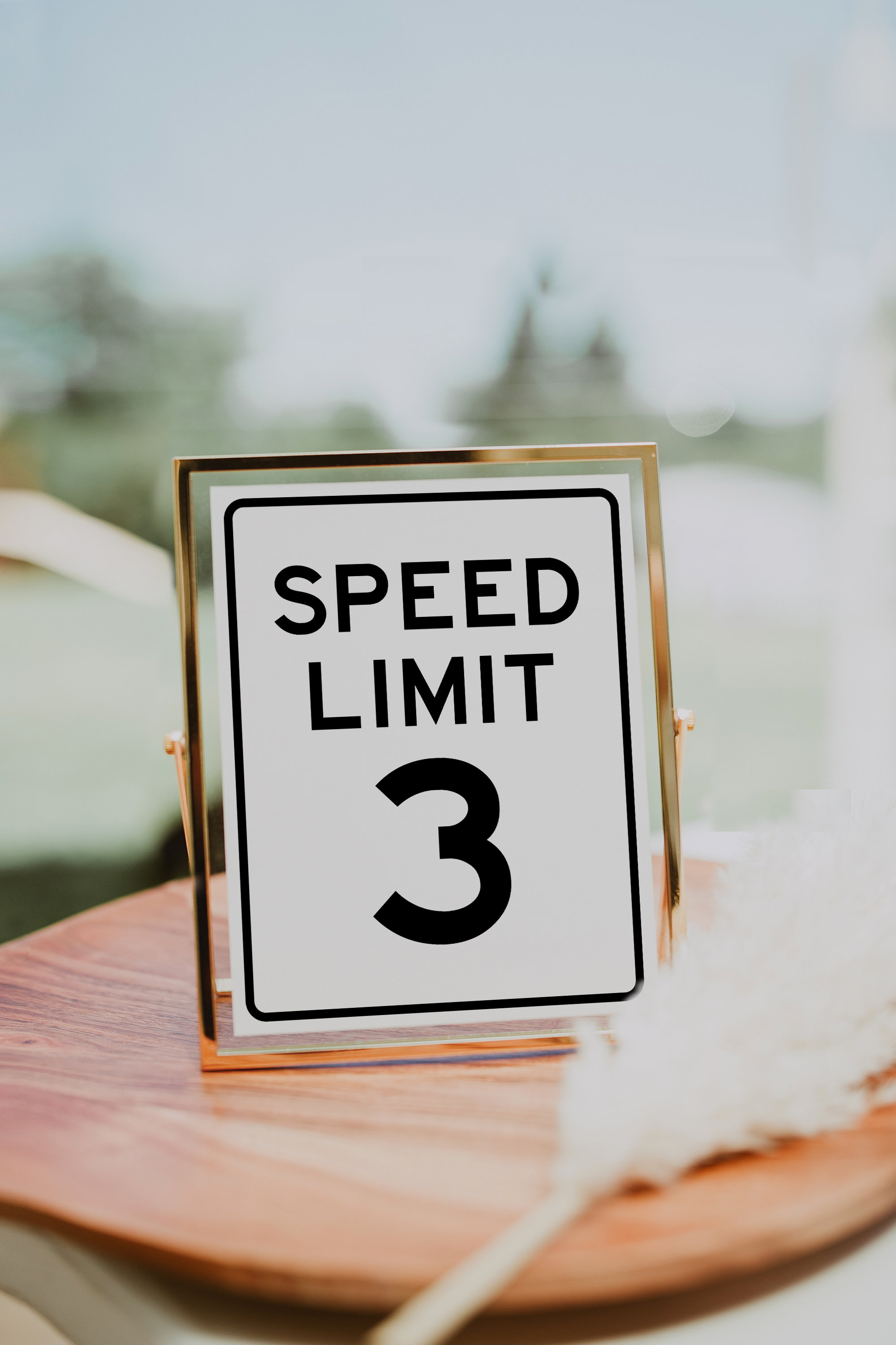 Speed Limit 3 Sign Printable, Cant Catch Me Im Three, Race Car Birthday ...