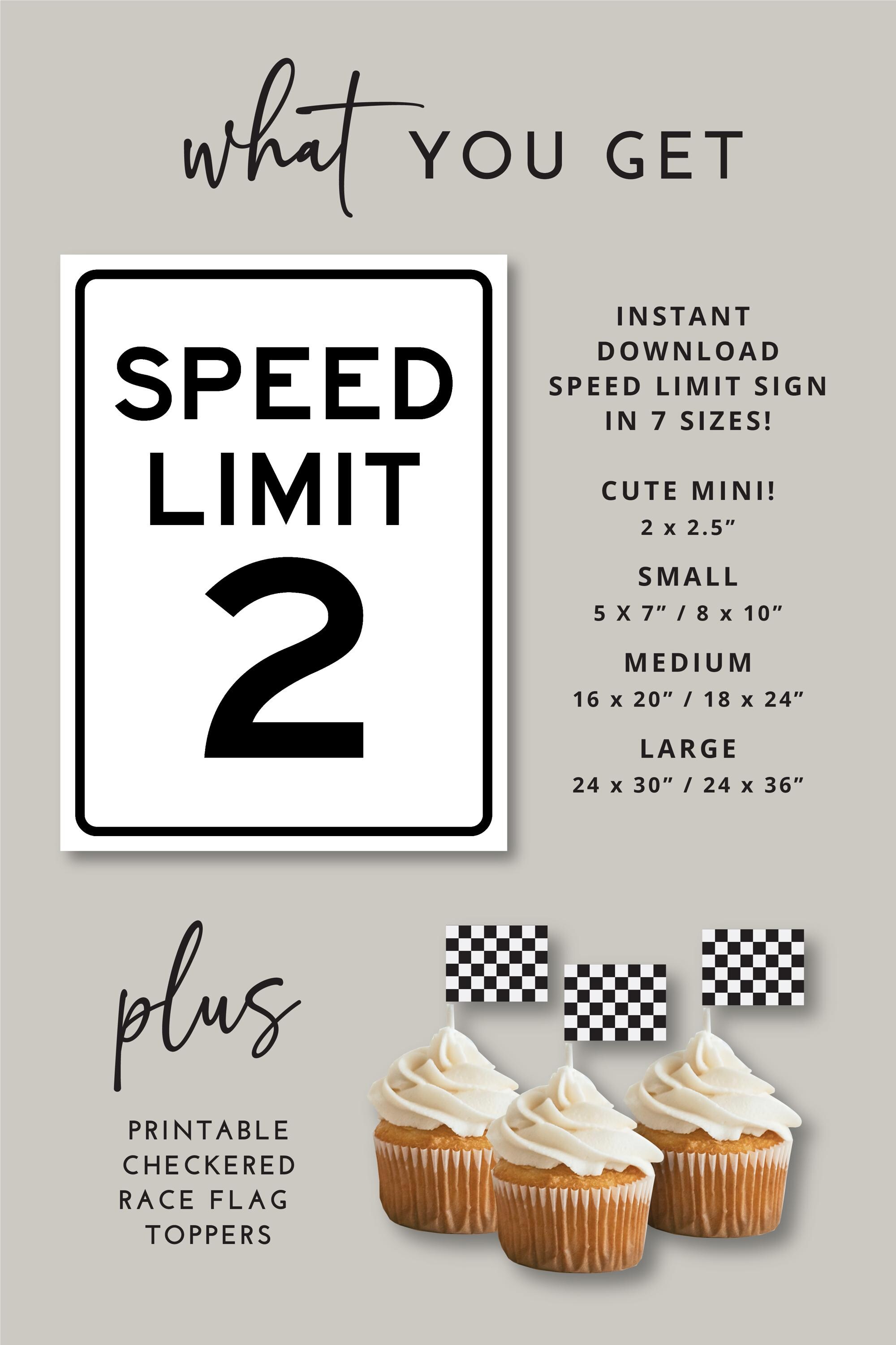 Race Car Party Decor Personalized Centerpiece, Speed Limit 2 Sign ...