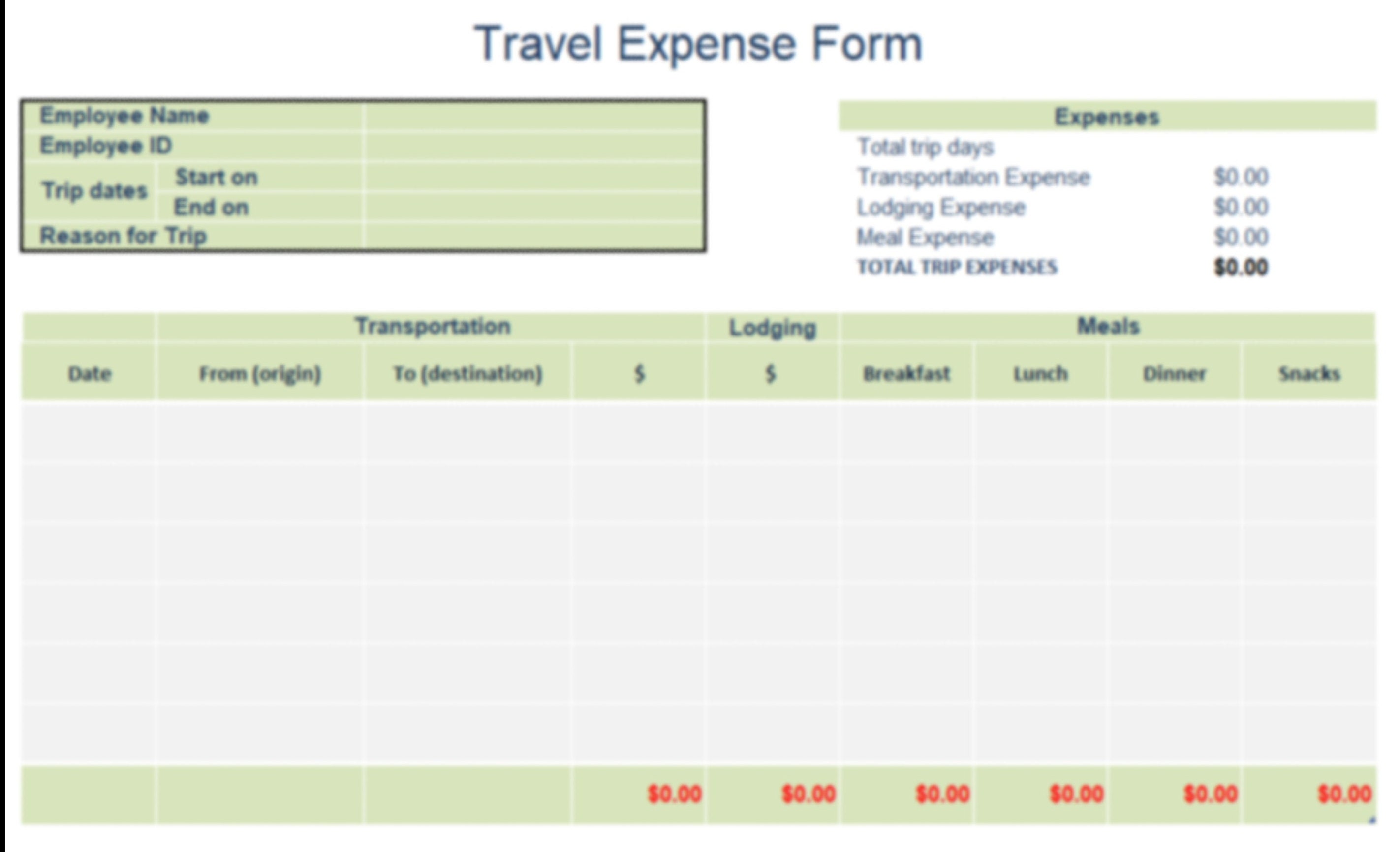 Travel Expense Template, Fillable and Editable HR Form, Editable Travel ...