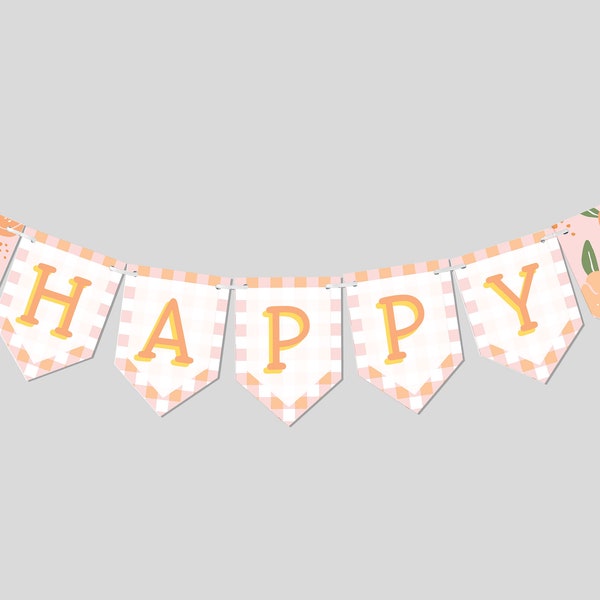 Peach Banner - Etsy