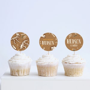 Our Little Explorer Birthday Party Cupcake Toppers, Stickers, Dinosaur ...