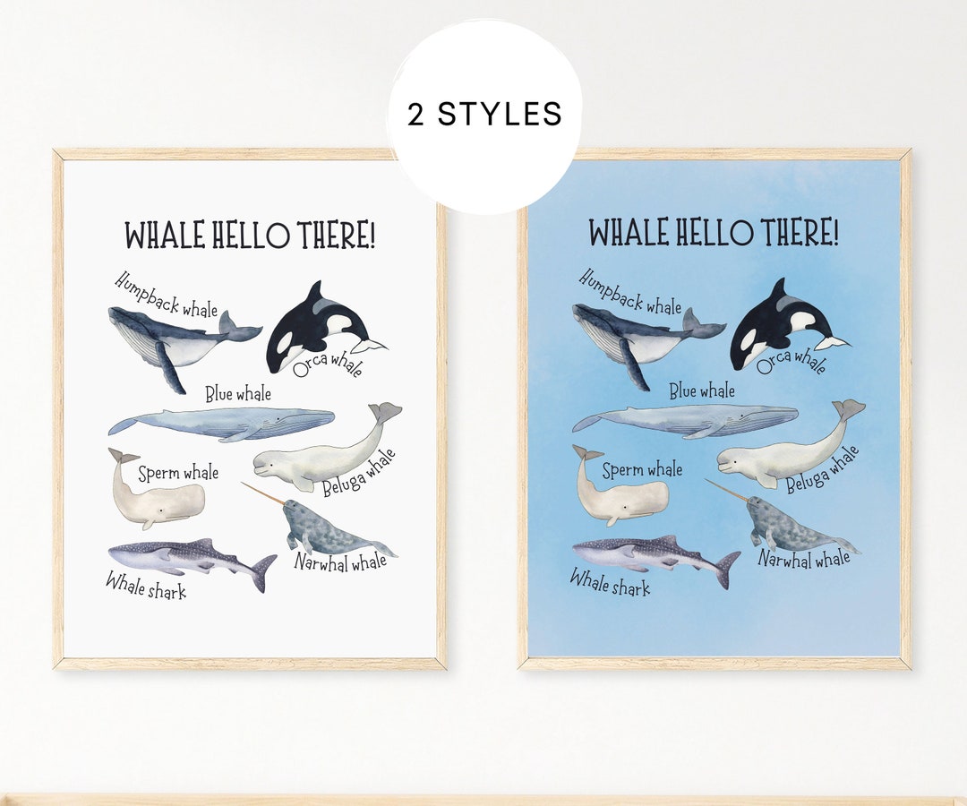 Whale Shark, Whale Shark Art, Ocean Nursery Decor, Ocean Poster ...