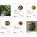 Instagram Carousel Template for Nutritionists, Wellness Seamless ...