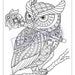 Detailed Coloring Pages, Intricate Designs (PDF) - Etsy