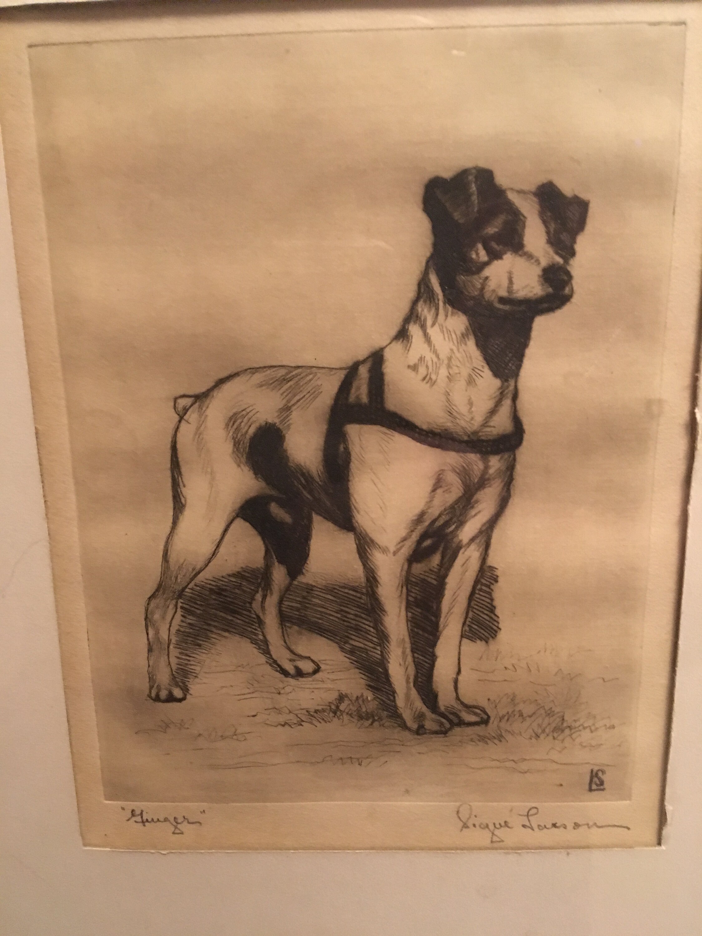 Signe Larson Signed Print From 1933 "ginger" (her Dog) Etching on Silk ...