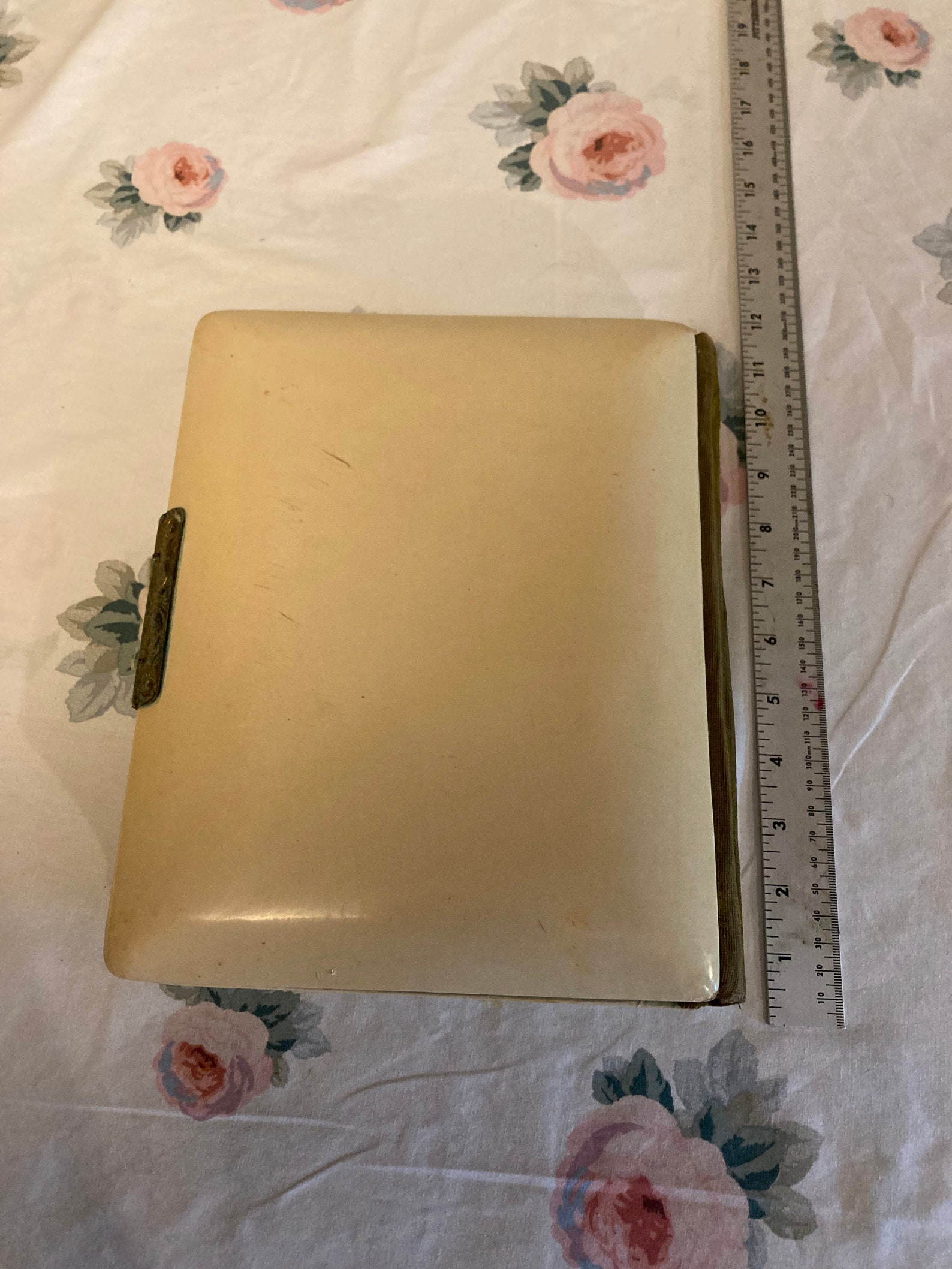 Victorian Era Celluloid Photo/wedding Album Wonderful Antique/vintage ...