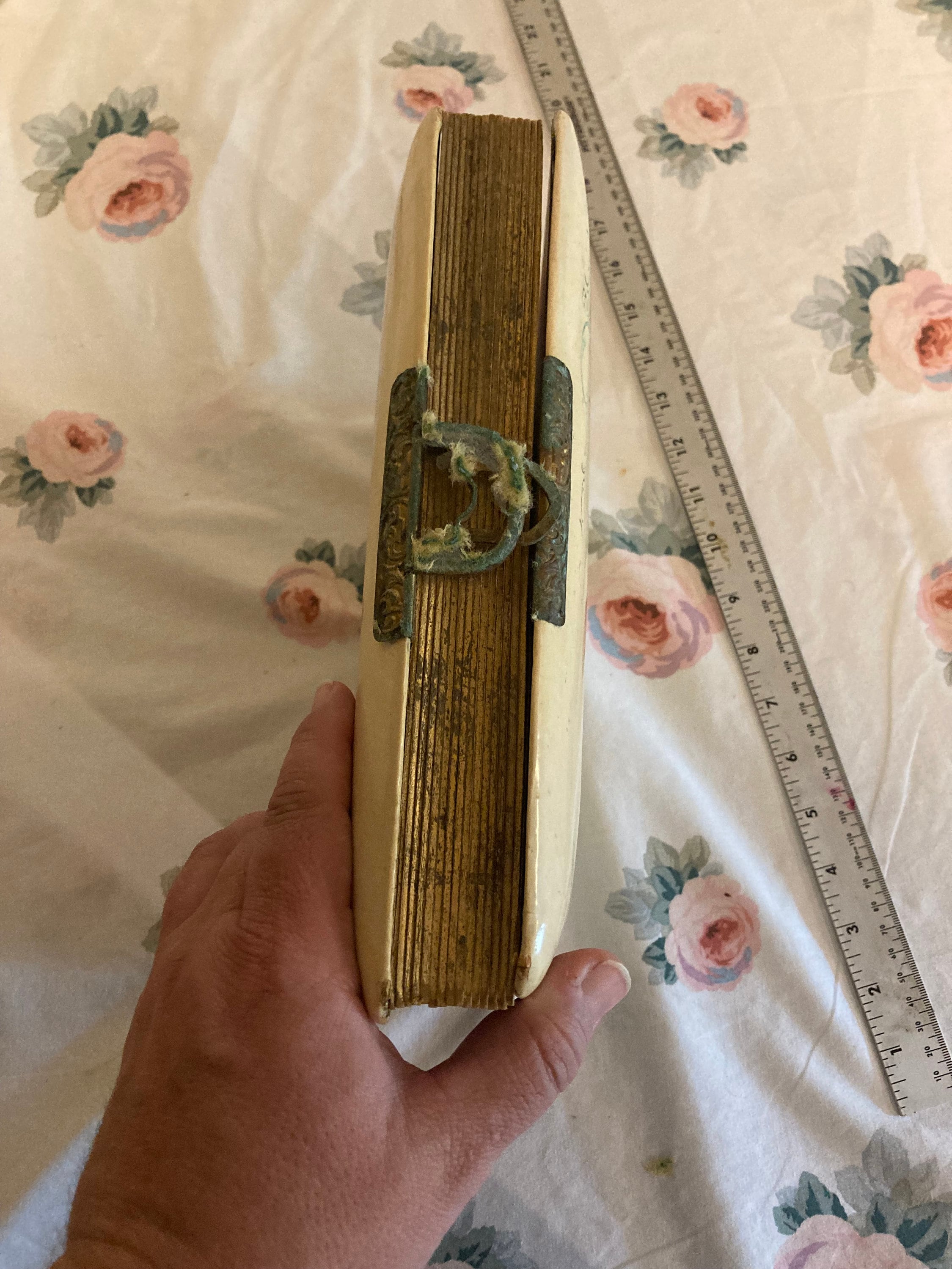 Victorian Era Celluloid Photo/wedding Album Wonderful Antique/vintage ...