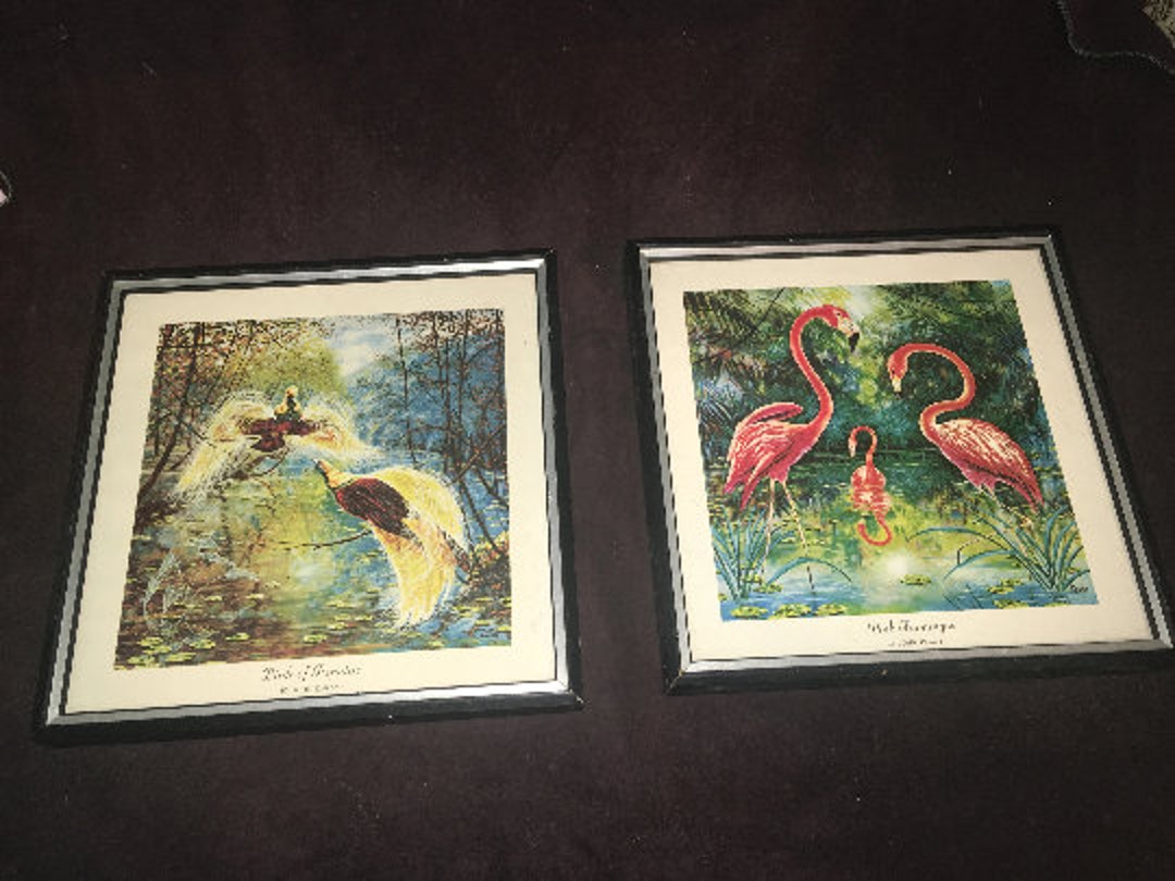 2 Rare 1971 John Dekay Prints Birds of Paradise and Pink - Etsy