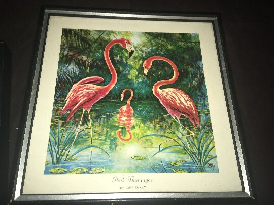 2 Rare 1971 John Dekay Prints Birds of Paradise and Pink - Etsy