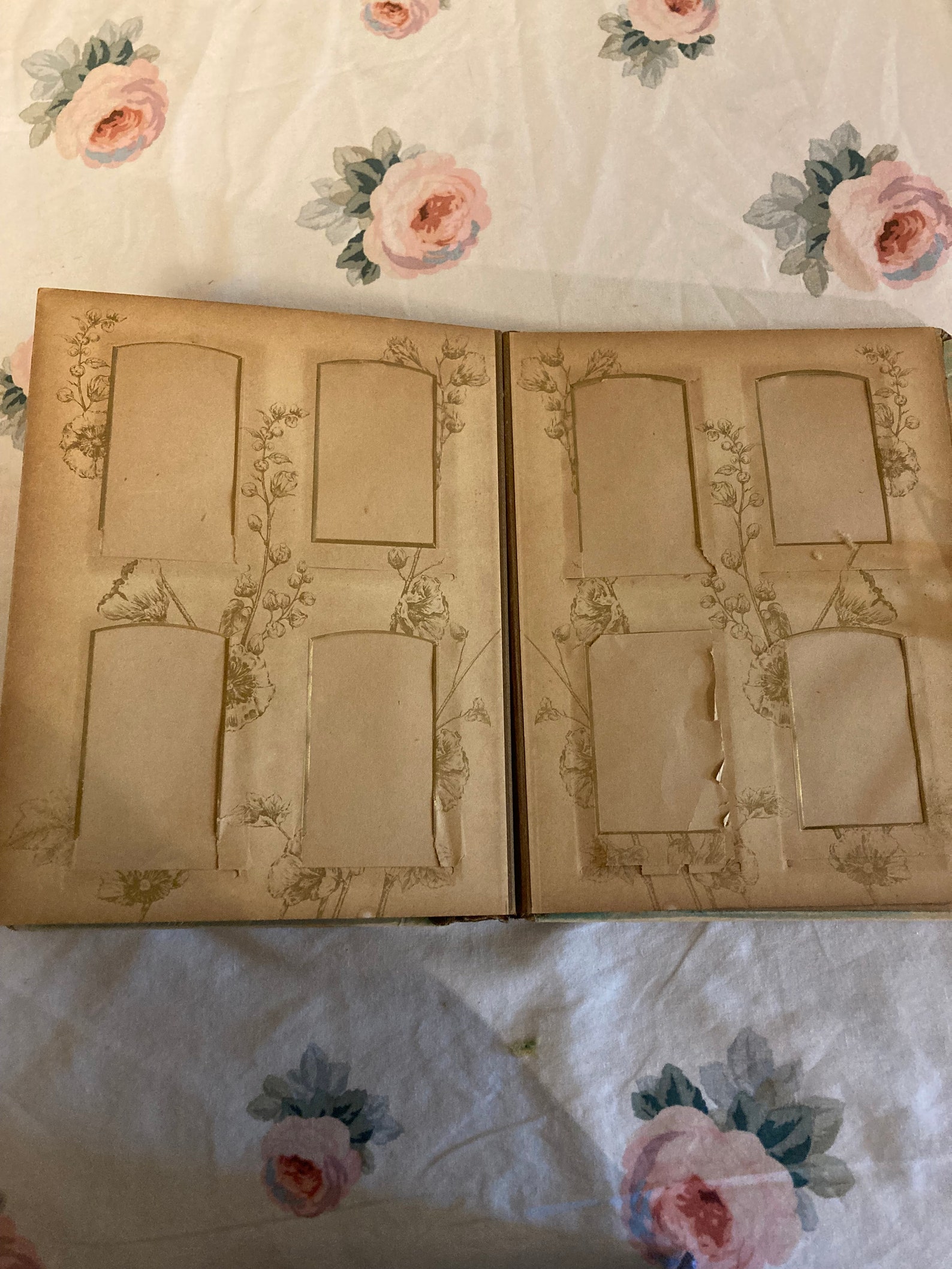 Victorian Era Celluloid Photo/wedding Album Wonderful Antique/vintage ...