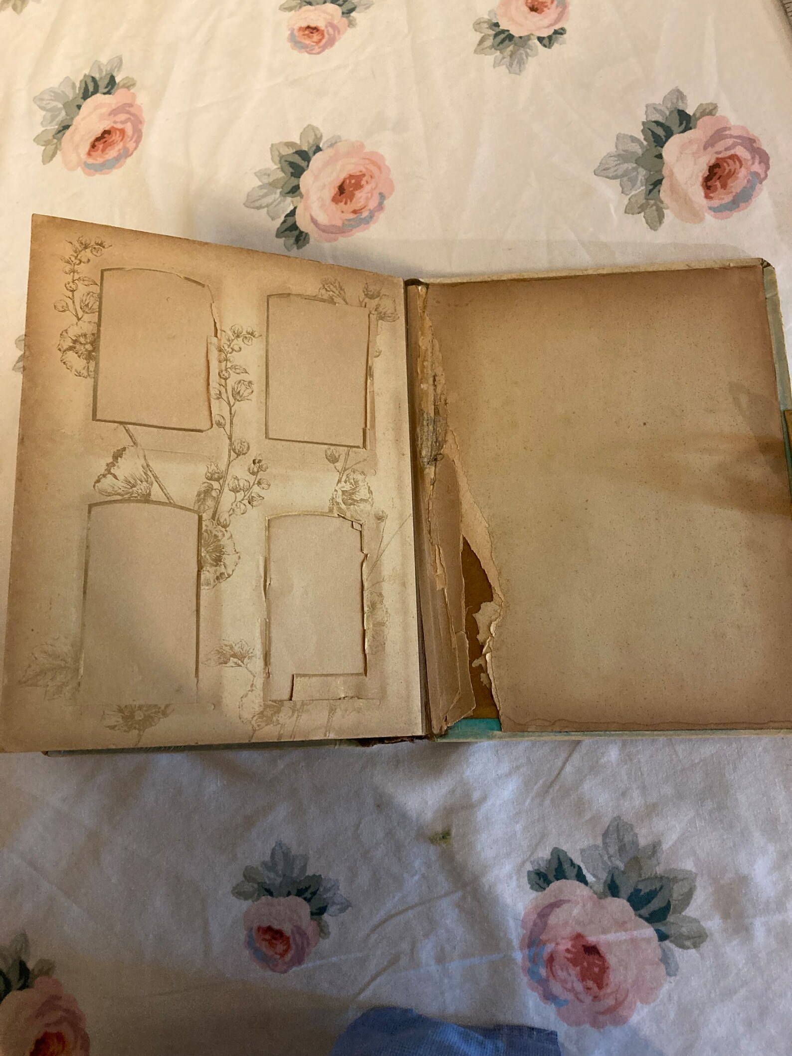 Victorian Era Celluloid Photo/wedding Album Wonderful Antique/vintage ...