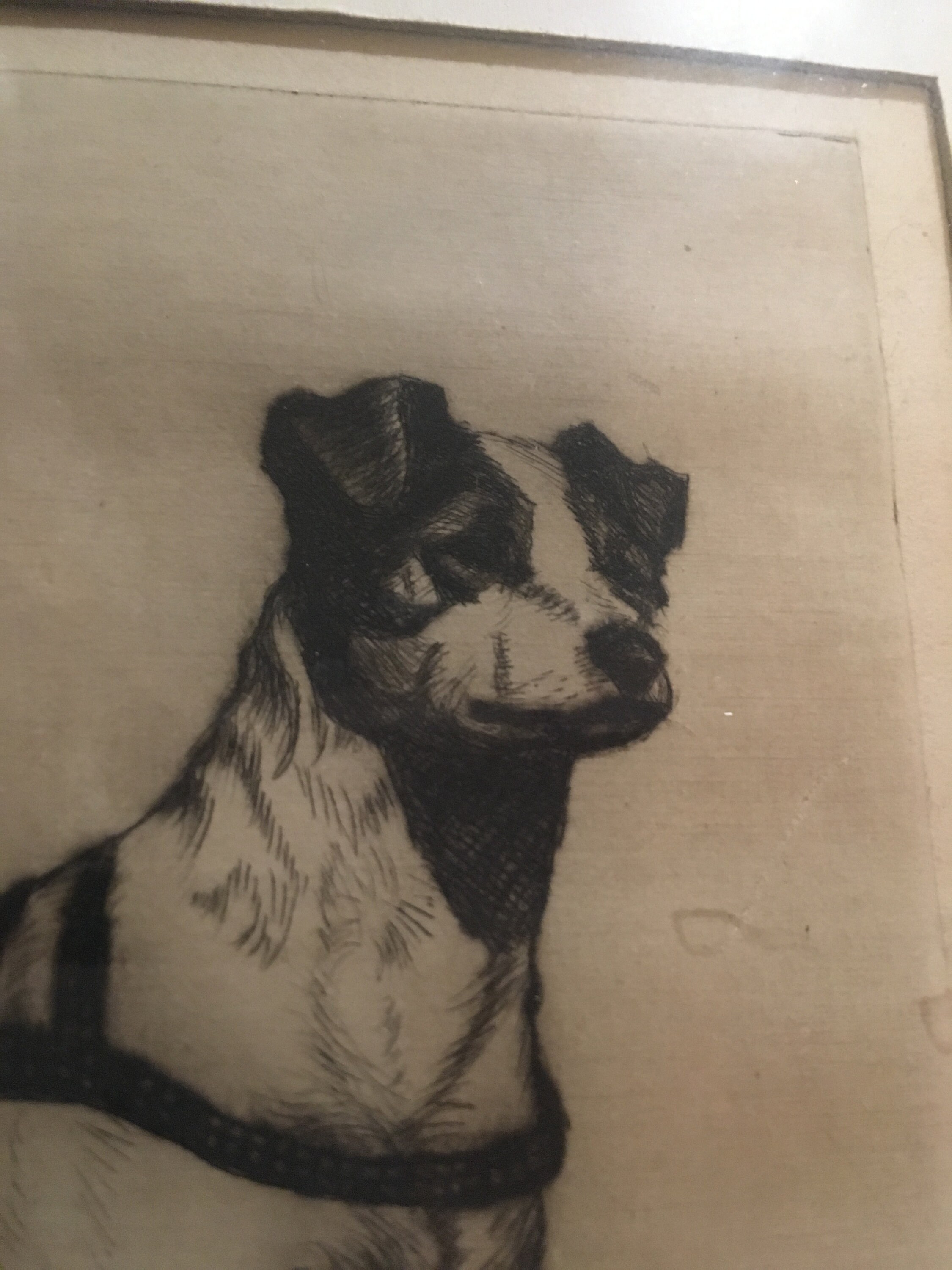 Signe Larson Signed Print From 1933 "ginger" (her Dog) Etching on Silk ...