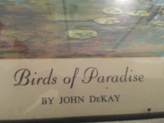 2 Rare 1971 John Dekay Prints Birds of Paradise and Pink - Etsy