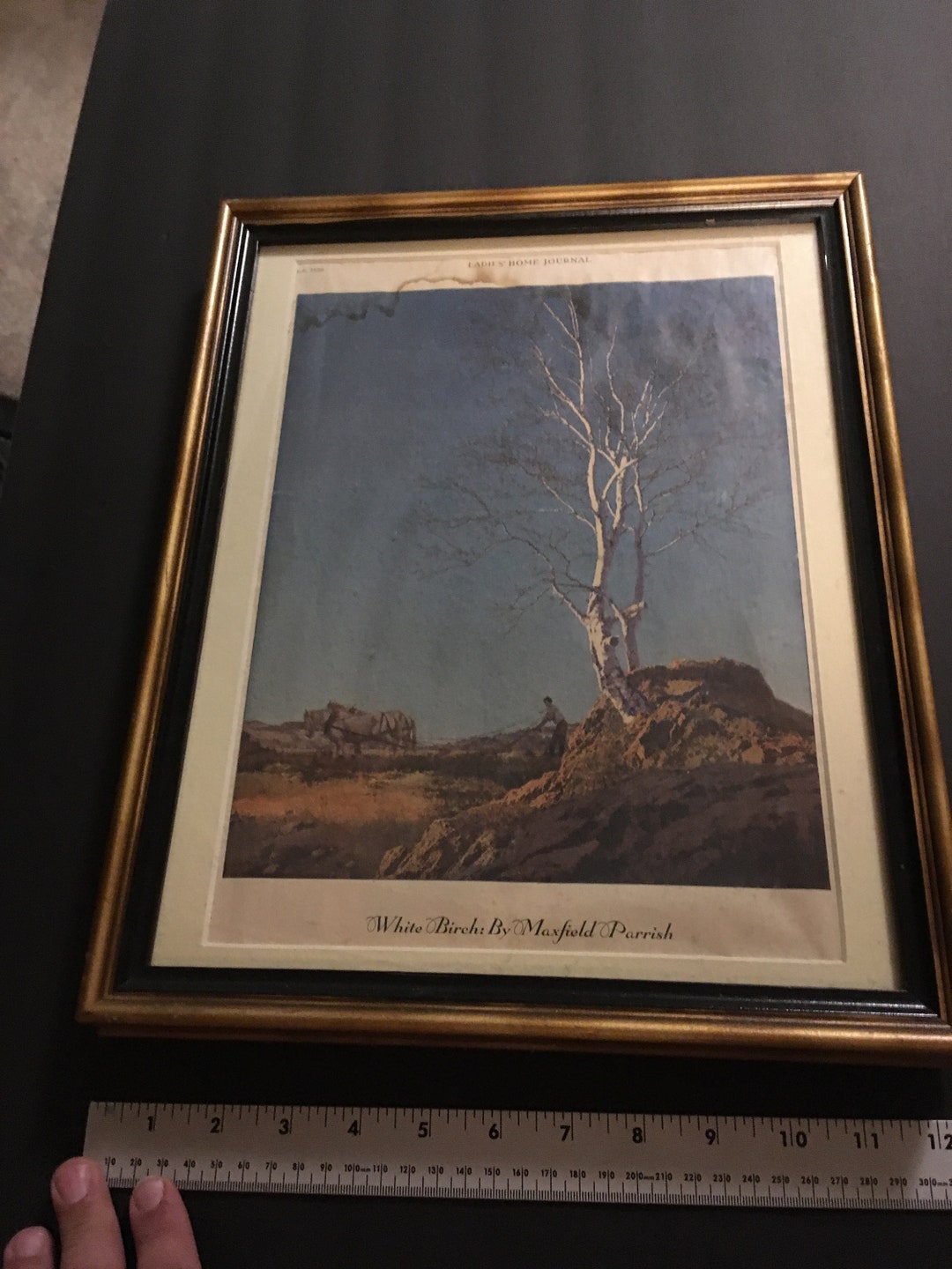 Original Framed Maxfield Parish Print "white Birch" From March 1930 ...