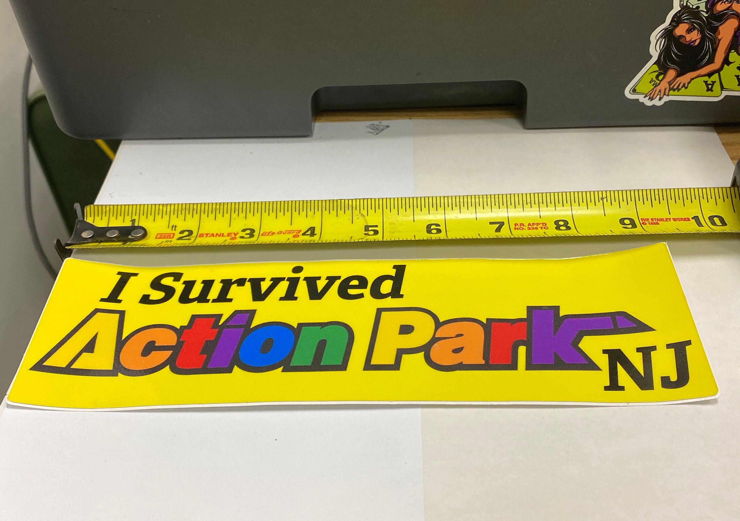 I Survived Action Park NJ Vinyl 9” Bumper Sticker Class New Jersey ...