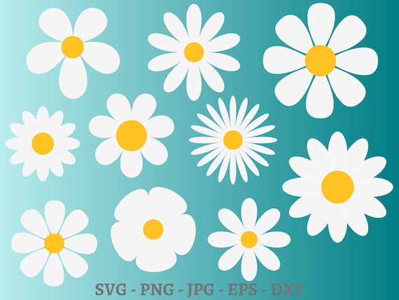 Daisies Bundle SVG Daisies PNG Daisies SVG Daisy Flowers - Etsy