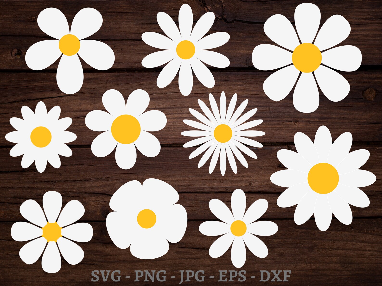 Daisies Bundle SVG, Daisies PNG, Daisies SVG, Daisy Flowers, Daisies ...