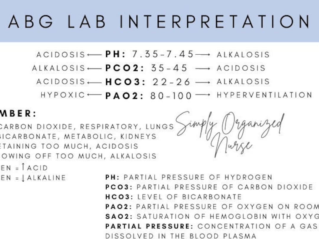Nursing ABG Lab Study Guide - Etsy