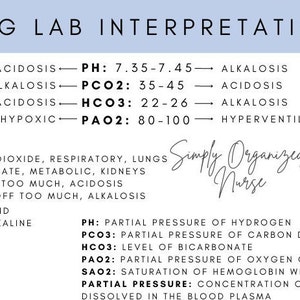 Nursing ABG Lab Study Guide - Etsy